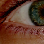 Yorgos Elàson - ΔΕΝ | Πως η ζωή μας γίνεται τραγούδι - NGradio.gr